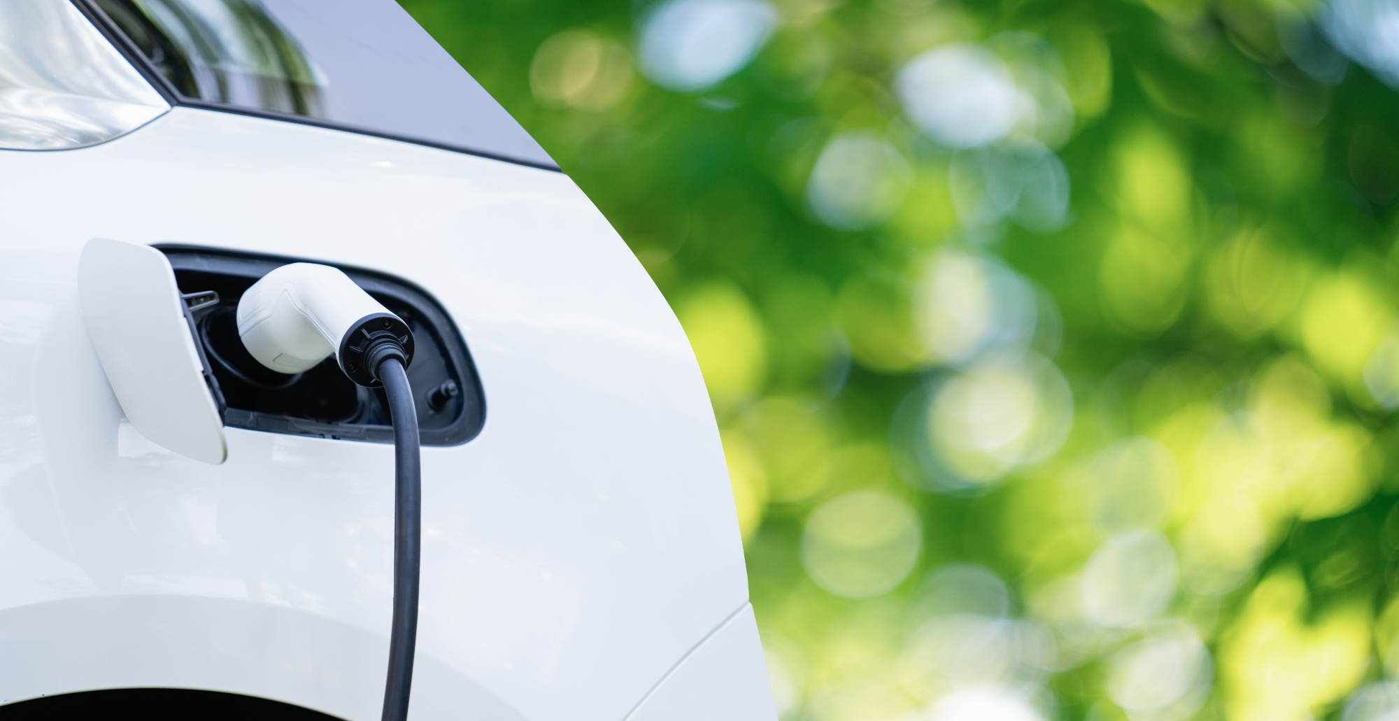 Home [www.delta.xfo.com]